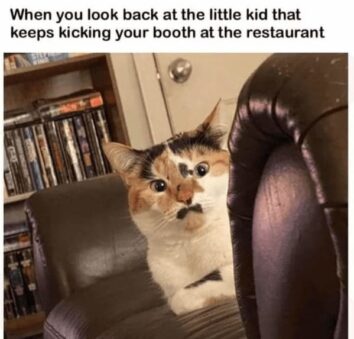 40 Purrfectly Funny Cat Memes To Hold You Over Until Caturday