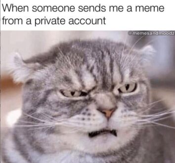 40 Purrrrfect Cat Memes To Make Your Caturday Absolutely Claw-Some