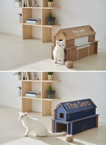 40 Cool Pet Inventions Bound To Make You The Envy Of Every Pet Parent ...