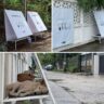 40 Cool Pet Inventions Bound To Make You The Envy Of Every Pet Parent ...