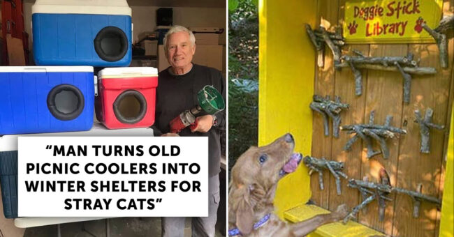 40 Cool Pet Inventions Bound To Make You The Envy Of Every Pet Parent ...