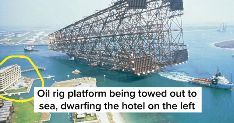 30 Photos of Gigantic Things That'll Both Terrify You And Remind You ...