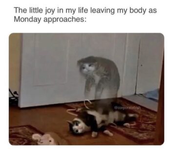 35 Funny Corporate Memes For Office Workers Nearing Their Breaking Point