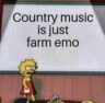 40 Country Music Memes For All Y'all Who Like A Little Twang In Their ...