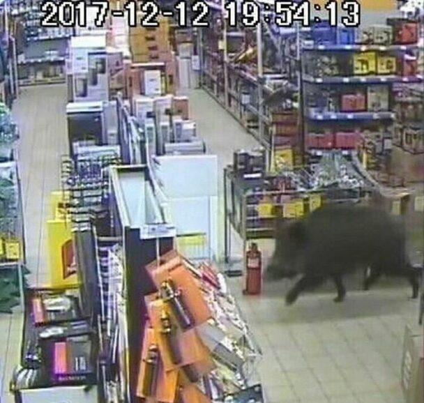 40 Cursed Images No One Should Have To See Today (August 7, 2023)