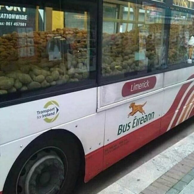 40 Cursed Images No One Should Have To See Today (August 7, 2023)