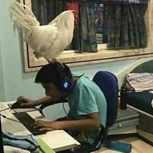 40 Cursed Images No One Should Have To See Today (August 7, 2023)