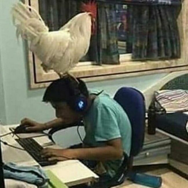 40 Cursed Images No One Should Have To See Today (August 7, 2023)