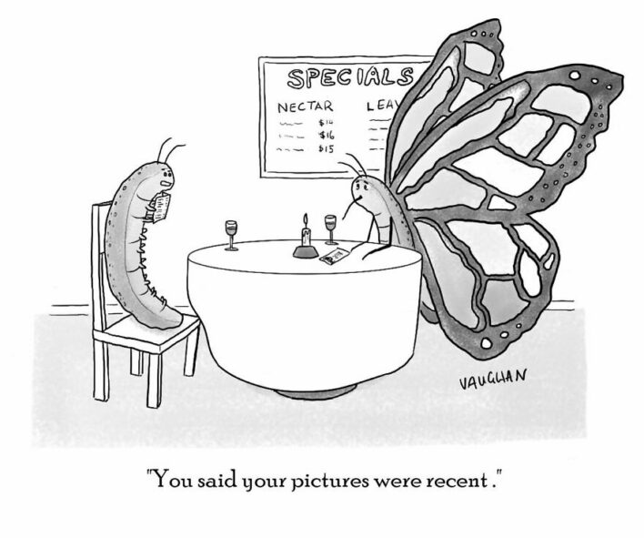 55 Funny Dark Humor Single-Panel Comics From Vaughan Tomlinson
