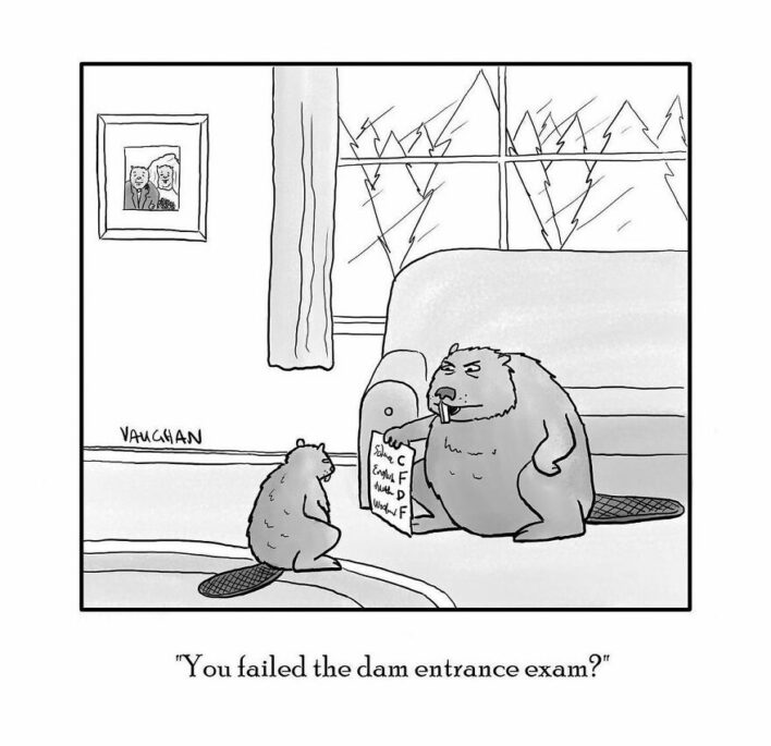 55 Funny Dark Humor Single-Panel Comics From Vaughan Tomlinson