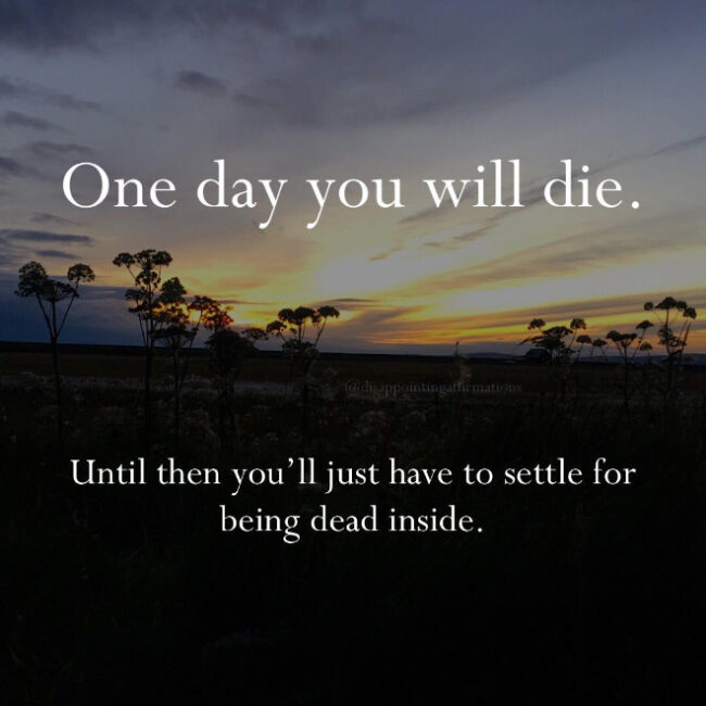 40 Disappointing Affirmations From Dave Tarnowski That Didn't Not Cheer ...