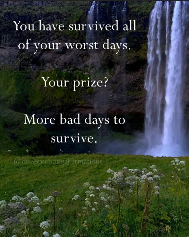 40 Disappointing Affirmations From Dave Tarnowski That Didn't Not Cheer ...