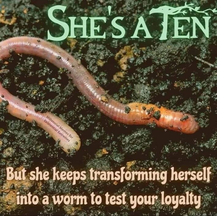 40 Dumbest Memes From This Week For People Who Like Their Humor Really ...