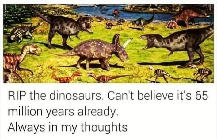 40 Dumbest Memes From This Week For People Who Like Their Humor Really ...