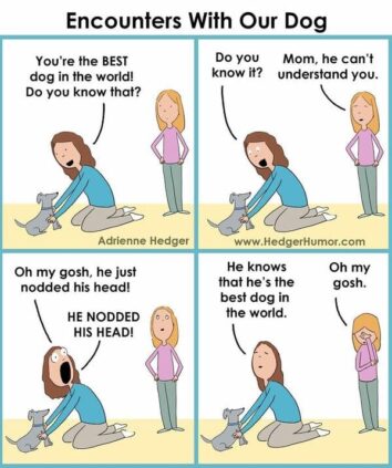 40 Relatable Comics That Find The Humor In Everyday Frustrations From ...