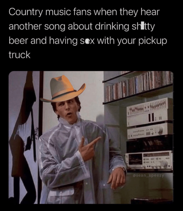 35 Country Music Memes For All Y'all Who Like A Little Twang In Their ...