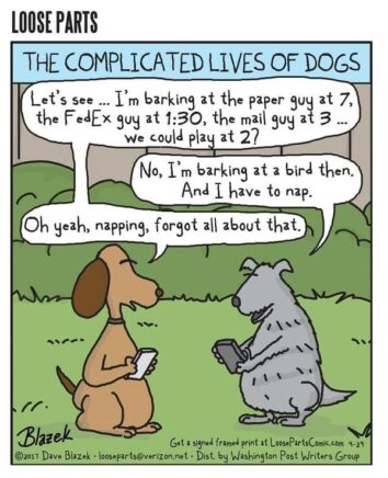 50 Funny One-Panel Comics For People Who Don't Mind Dark Humor From ...