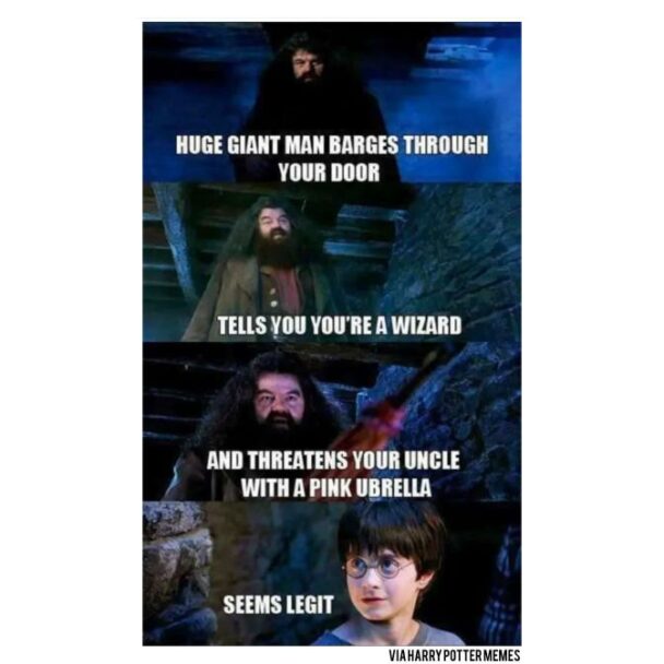 40 Of The Most Magical Harry Potter Memes From This Week (August 29, 2023)
