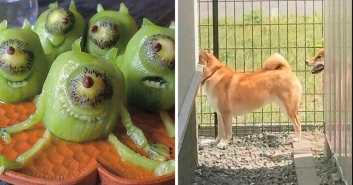 30+ "Blursed Images" That Aren't Quite Right But Aren't Quite Wrong Either