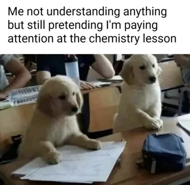 30+ Funny Chemistry Memes That'll Break Bonds And Bust Guts
