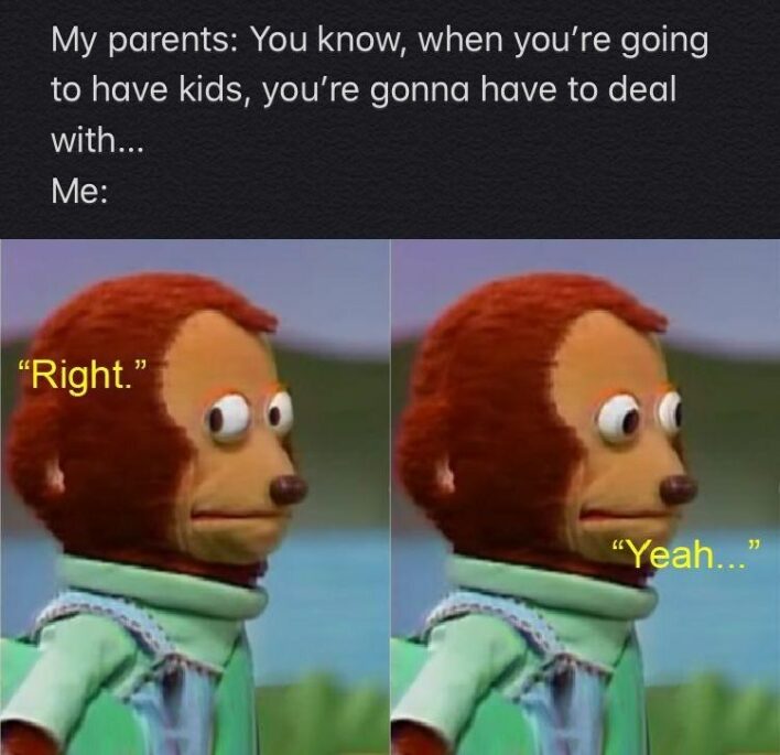 "We Do Whatever We Want All The Time" — 40 Funny Childfree Memes From ...