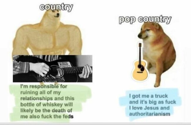 35 Country Music Memes For All Y'all Who Like A Little Twang In Their ...