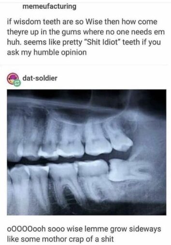 35 Funny Dentist Memes That Take The Edge Off Dental Visits