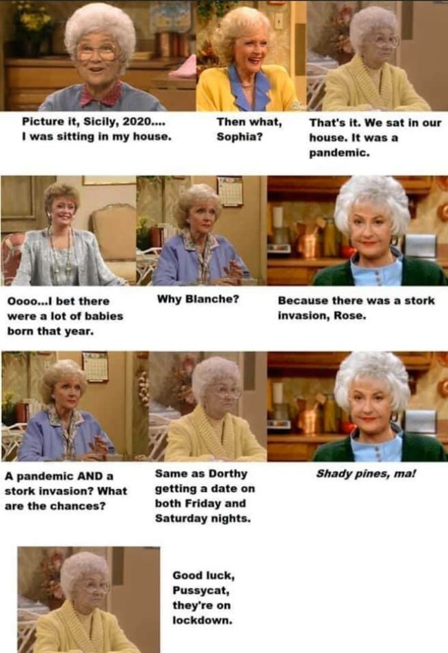 50 Funniest Golden Girls Memes And One-Liners To Thank You For Being A ...