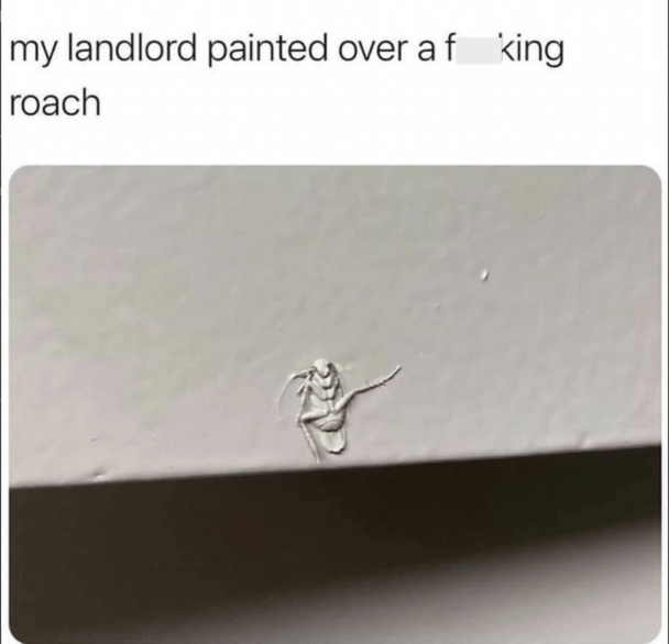 30 Funny Landlord Memes You Should Enjoy Before They Paint Them Over