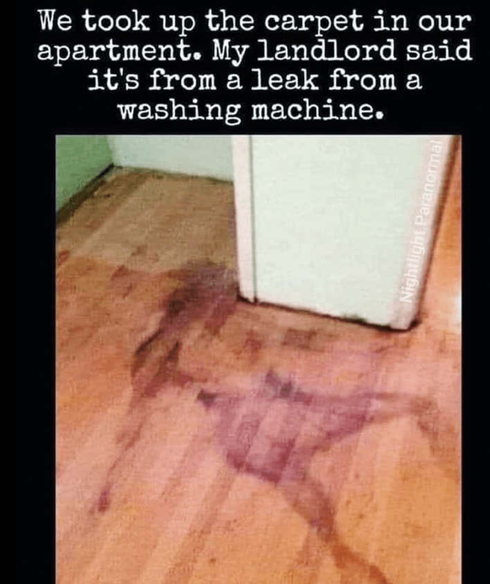 30 Funny Landlord Memes You Should Enjoy Before They Paint Them Over