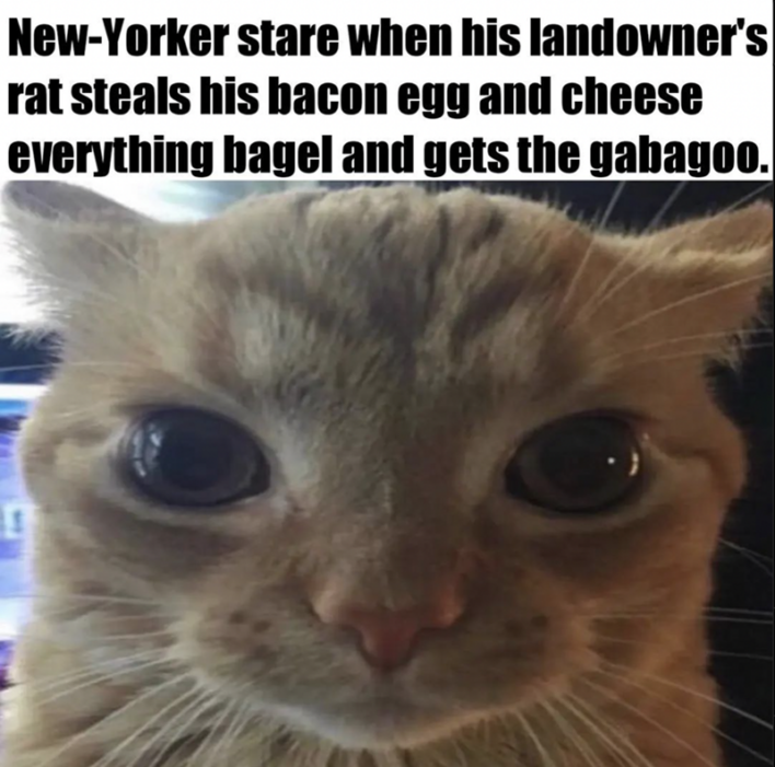 30 Funny Landlord Memes You Should Enjoy Before They Paint Them Over
