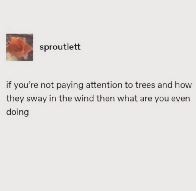 40 Funny Nature Memes For Campers, Hikers, And All You Other Outdoorsies