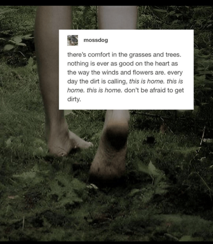 40 Funny Nature Memes For Campers, Hikers, And All You Other Outdoorsies