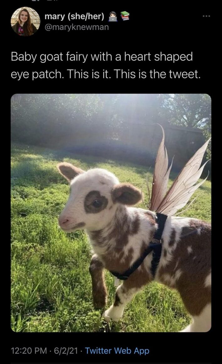 40 Funny Nature Memes For Campers, Hikers, And All You Other Outdoorsies