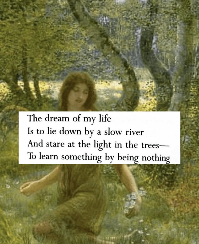 40 Funny Nature Memes For Campers, Hikers, And All You Other Outdoorsies