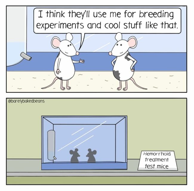 35 Funny And Offbeat Comics From 'Barely Baked Beans'