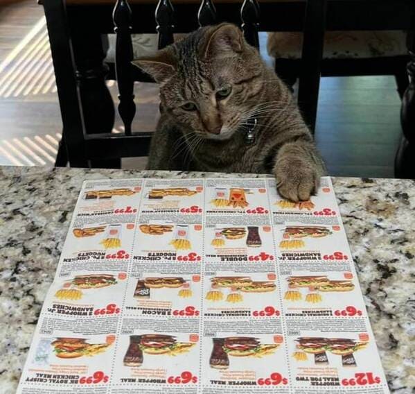 Kickstart Your Day With A Dose Of Laughter: 25 Fresh Funny Pics And ...