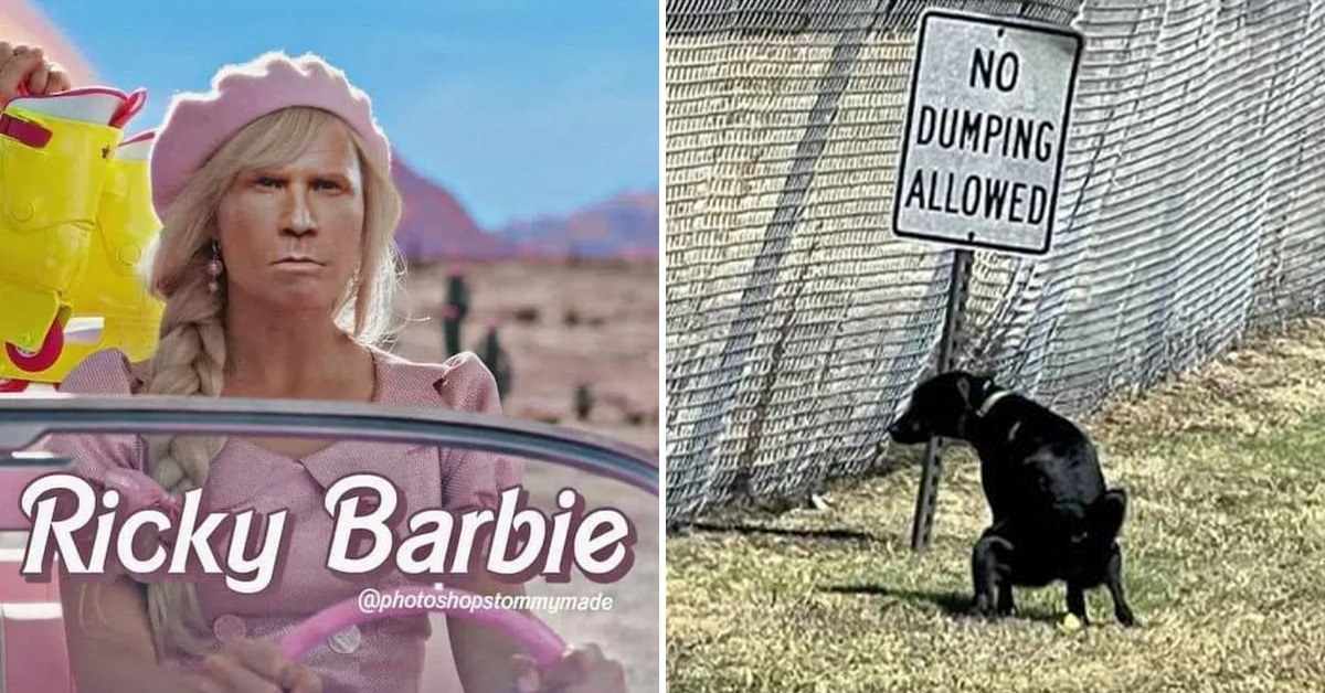 Kickstart Your Day With A Dose Of Laughter: 25 Fresh Funny Pics And ...