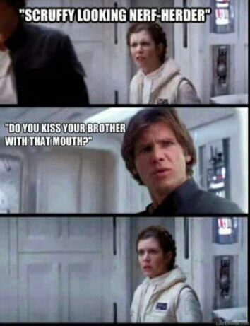 Hair Buns and Humor — 35 Funny Princess Leia Memes Star Wars Fans Can't ...