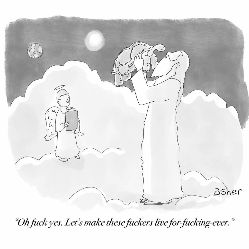40 Funny And (Mostly) Wholesome Single Panel Comics From New Yorker ...