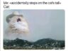 40 Midweek Cat Memes To Keep You Smiling Until Caturday