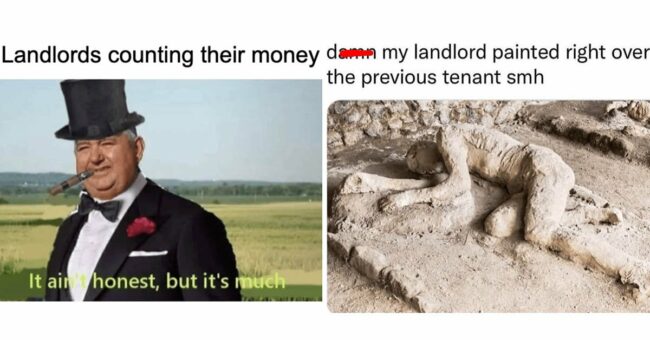 30 Funny Landlord Memes You Should Enjoy Before They Paint Them Over
