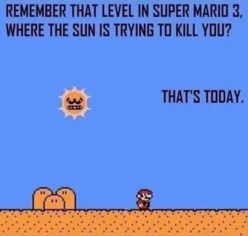 40 Funny Summer Heat Memes For You Sweaty Southerners Frying Eggs On ...