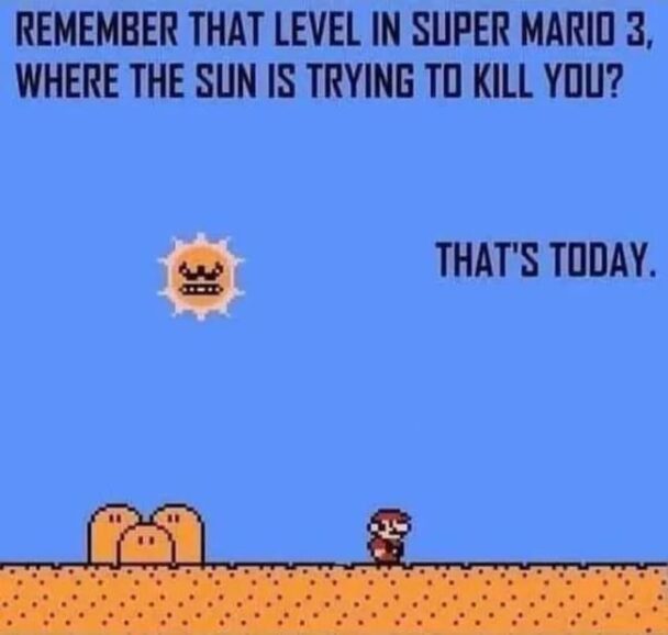 40 Funny Summer Heat Memes For You Sweaty Southerners Frying Eggs On ...