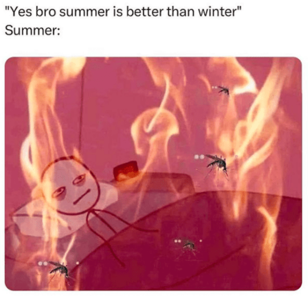 40 Funny Summer Heat Memes For You Sweaty Southerners Frying Eggs On ...