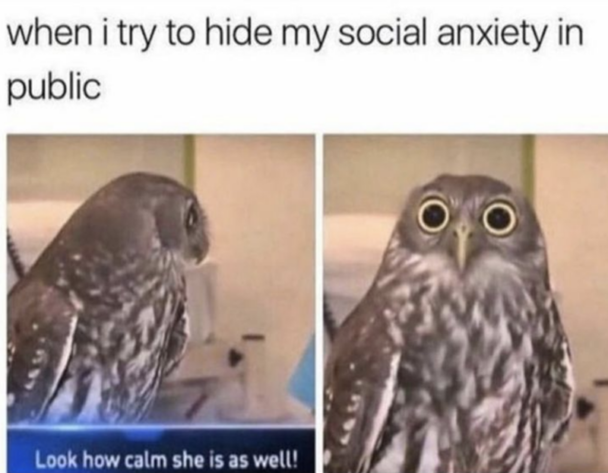 40 Introvert Dating Memes For Our Folks Out There Who Like Quiet ...