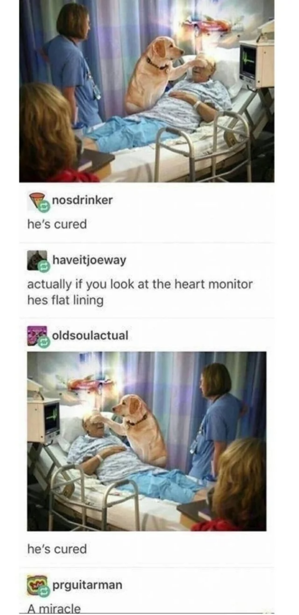 40 Funny, Smart Logic Memes That Are Technically True, But That Doesn't ...