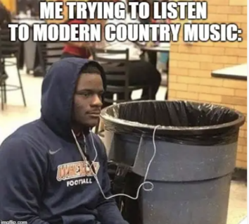 20+ Memes For Everyone Who Straight Up Hates Country Music