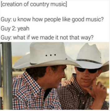 20+ Memes For Everyone Who Straight Up Hates Country Music