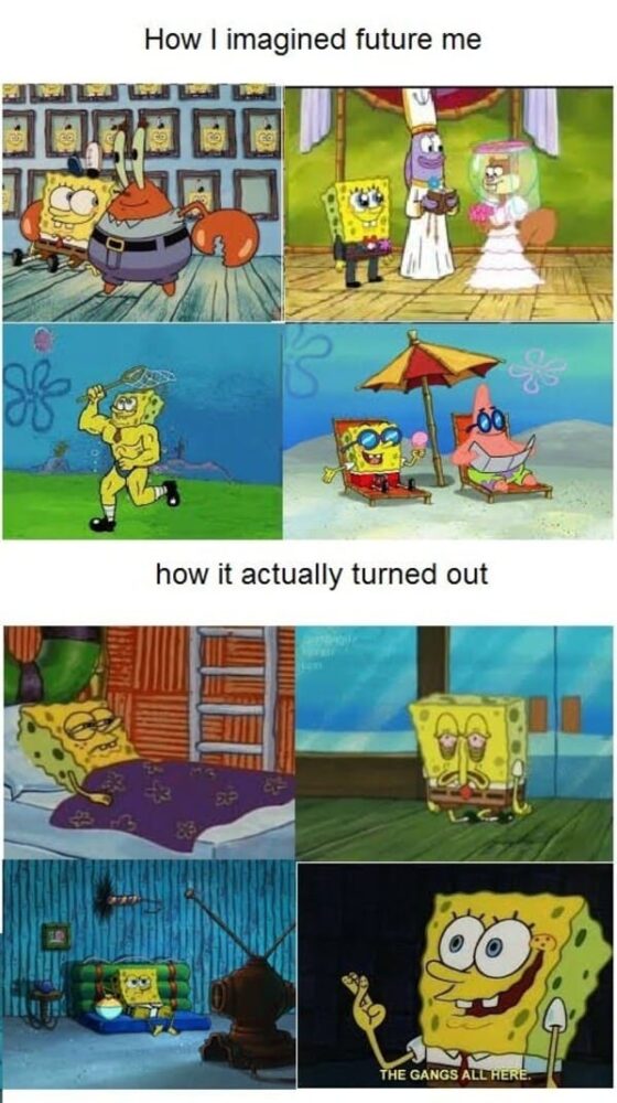50 Classic Funny Spongebob Memes That Literally Everyone Will Relate To ...